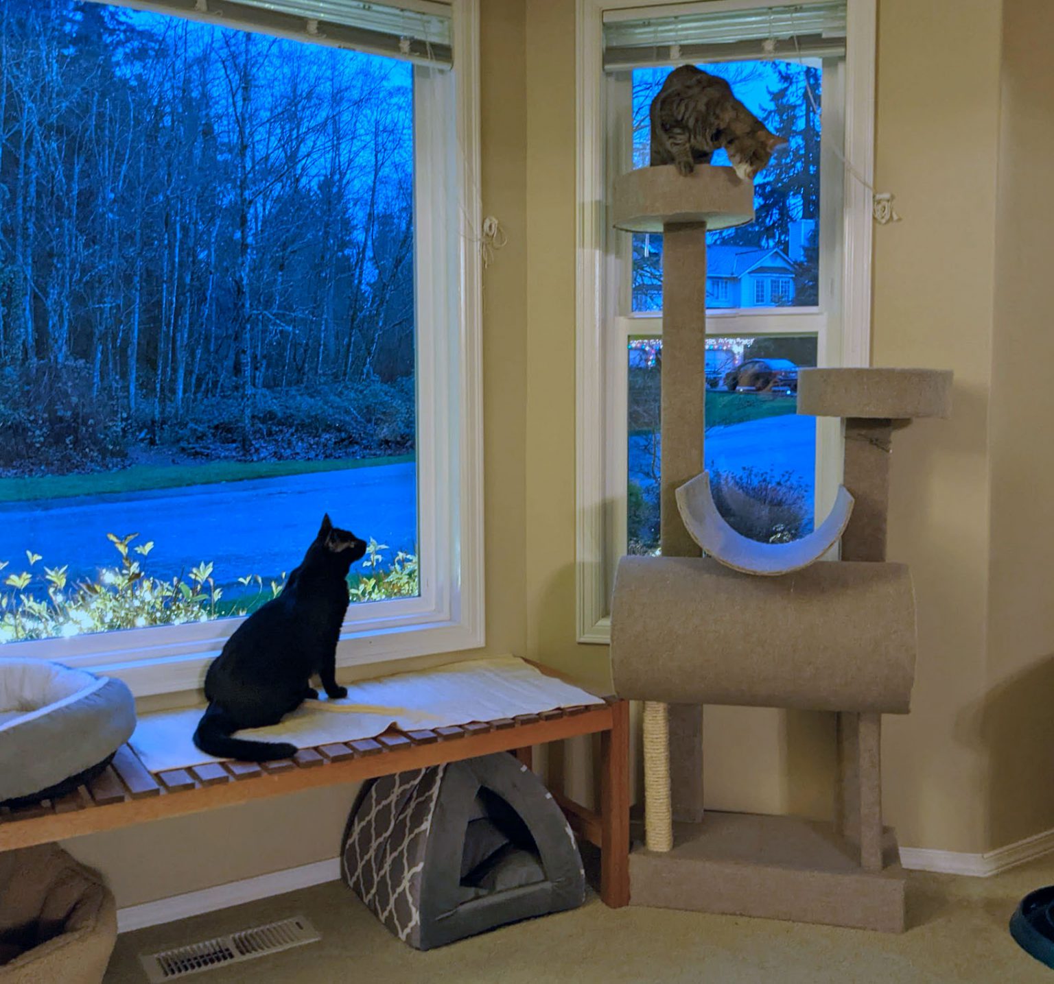 Custom Cat Tree – Studio711.com – Ben Martens