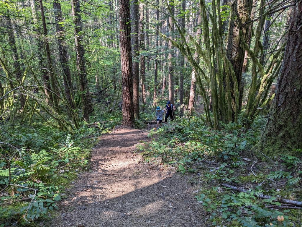 Cedar Butte Hike – Studio711.com – Ben Martens