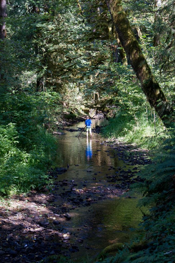 Leaping Lamb Farm Stay – Studio711.com – Ben Martens