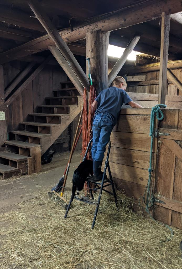 Leaping Lamb Farm Stay – Studio711.com – Ben Martens