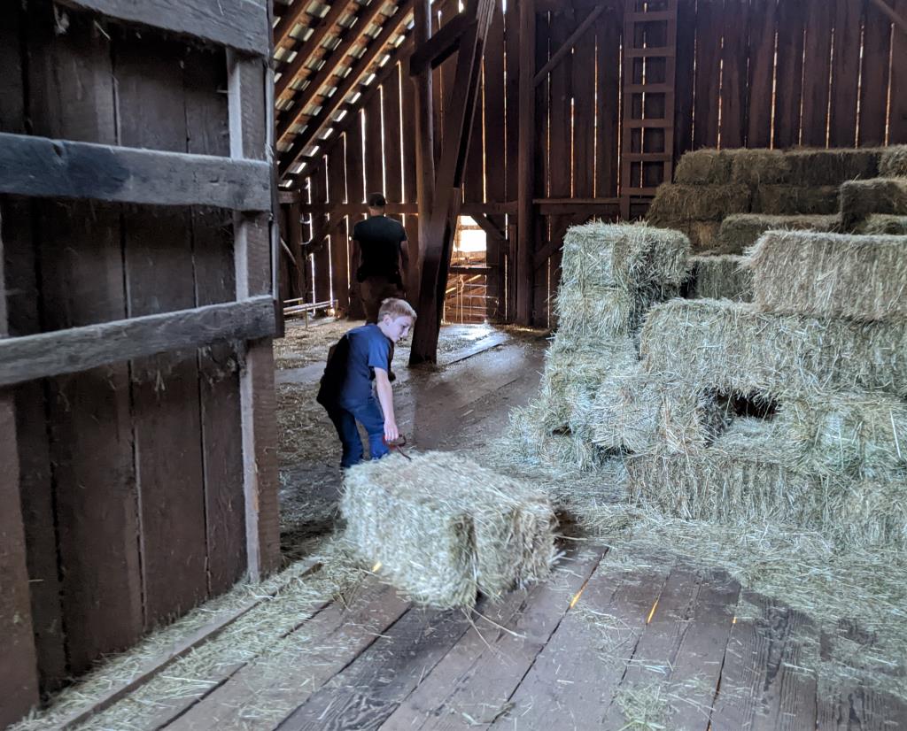 Leaping Lamb Farm Stay – Studio711.com – Ben Martens